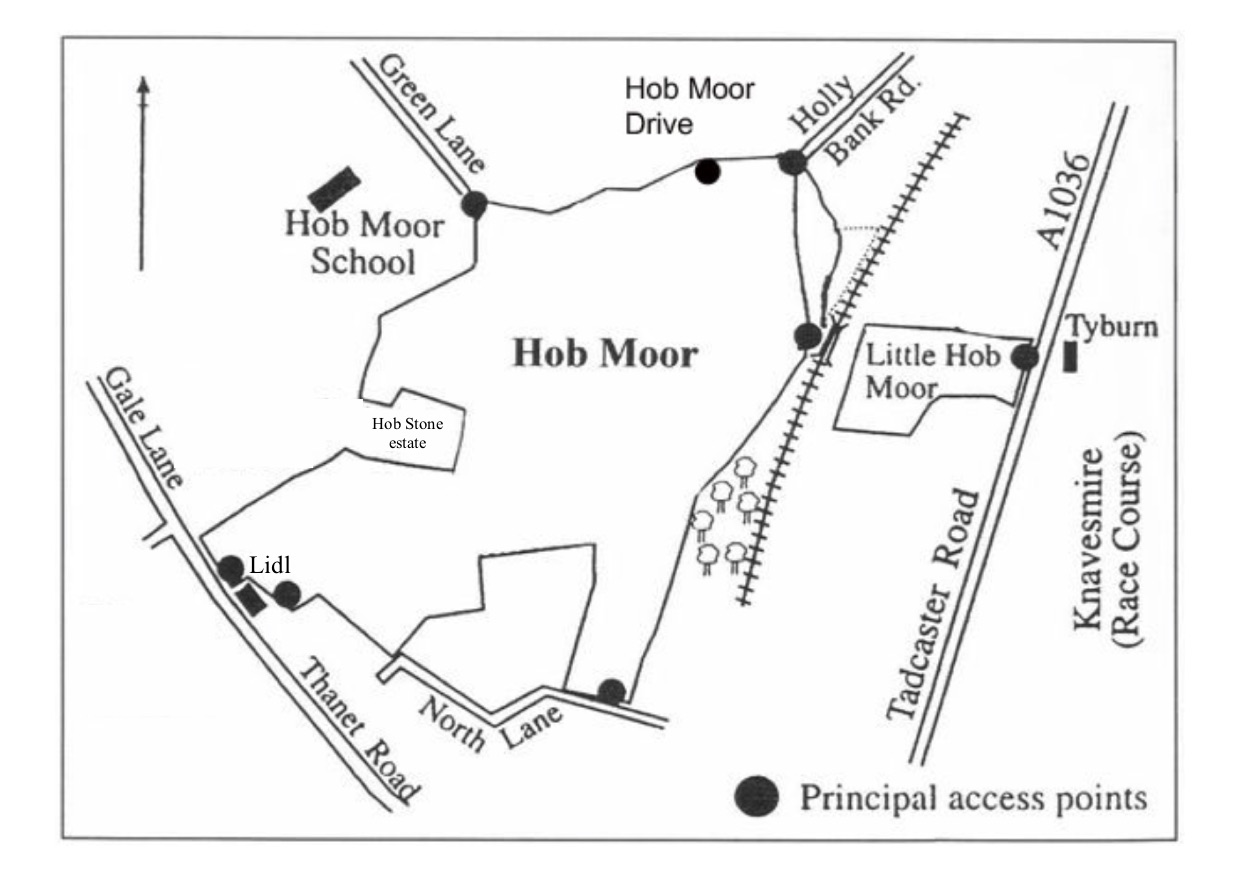 About the Moor – Friends of Hob Moor